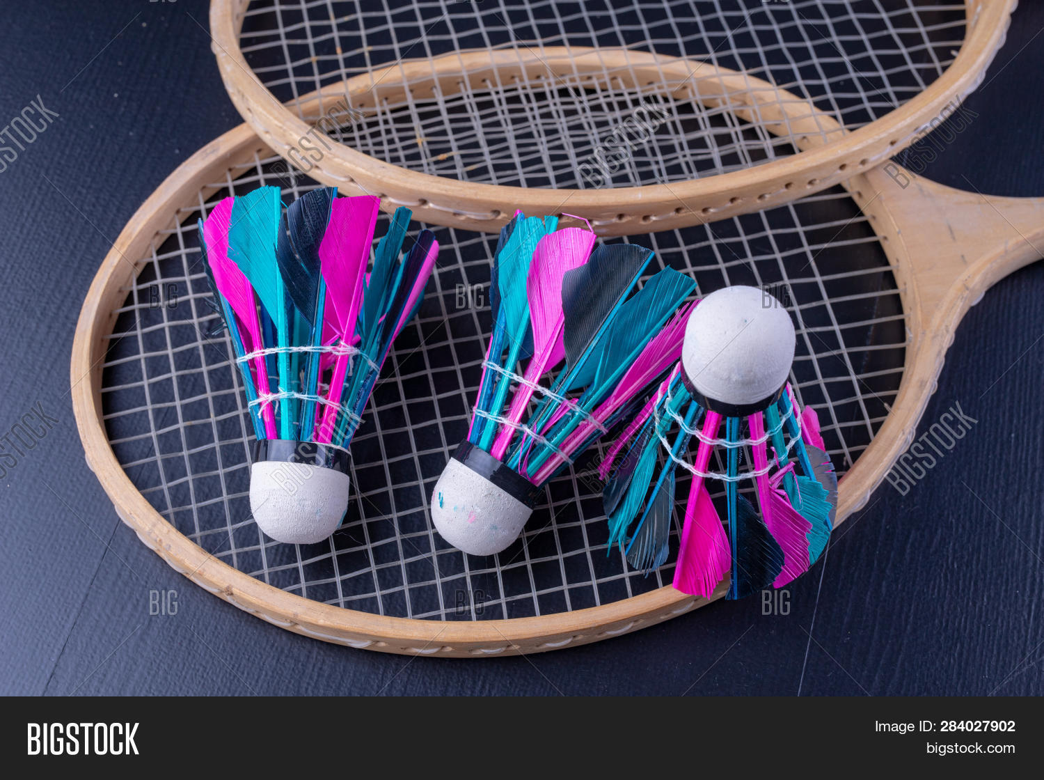 Colorful Feathers Image & Photo (Free Trial) | Bigstock