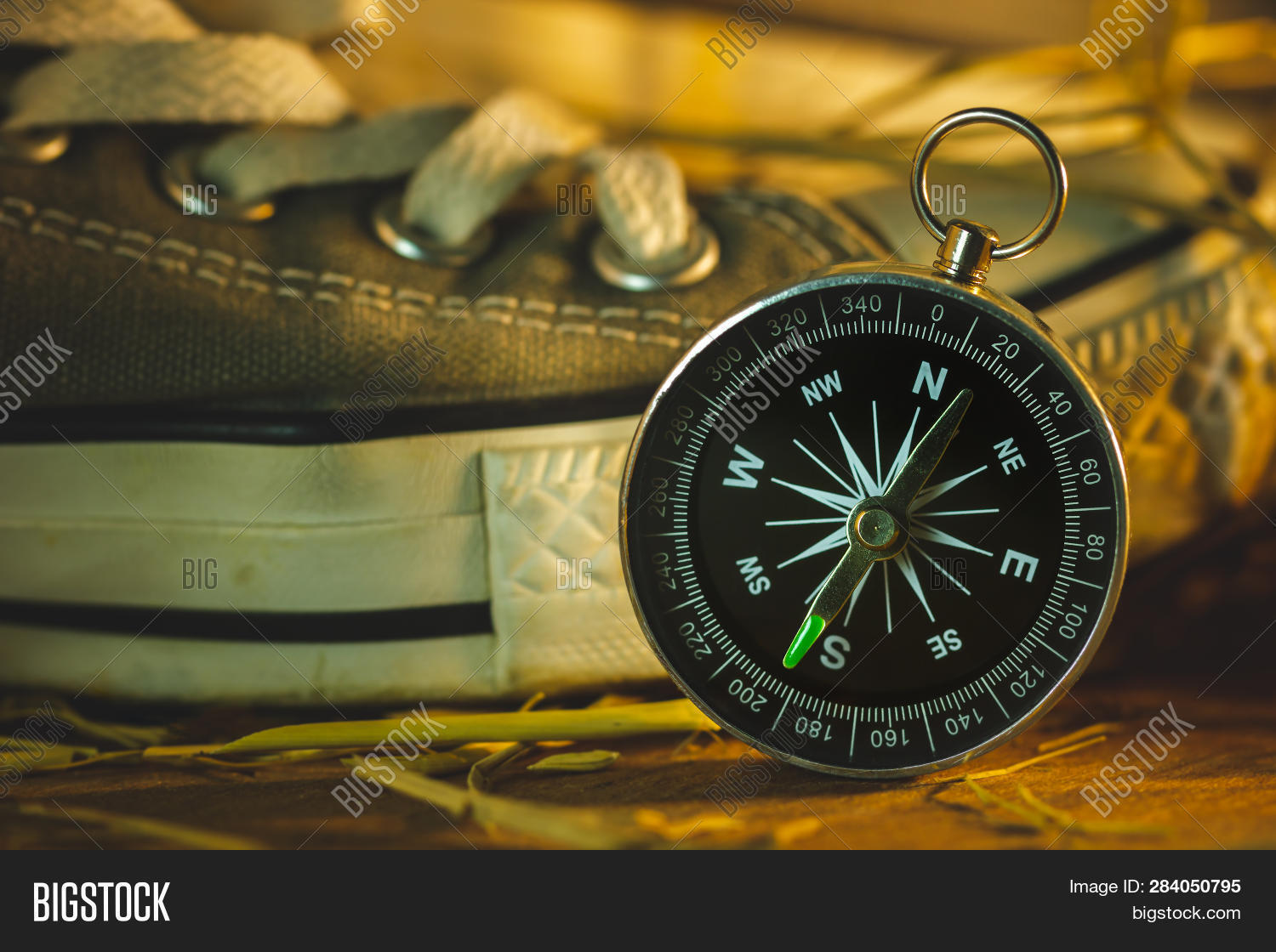 Compass Sneakers Pine Image & Photo (Free Trial) | Bigstock