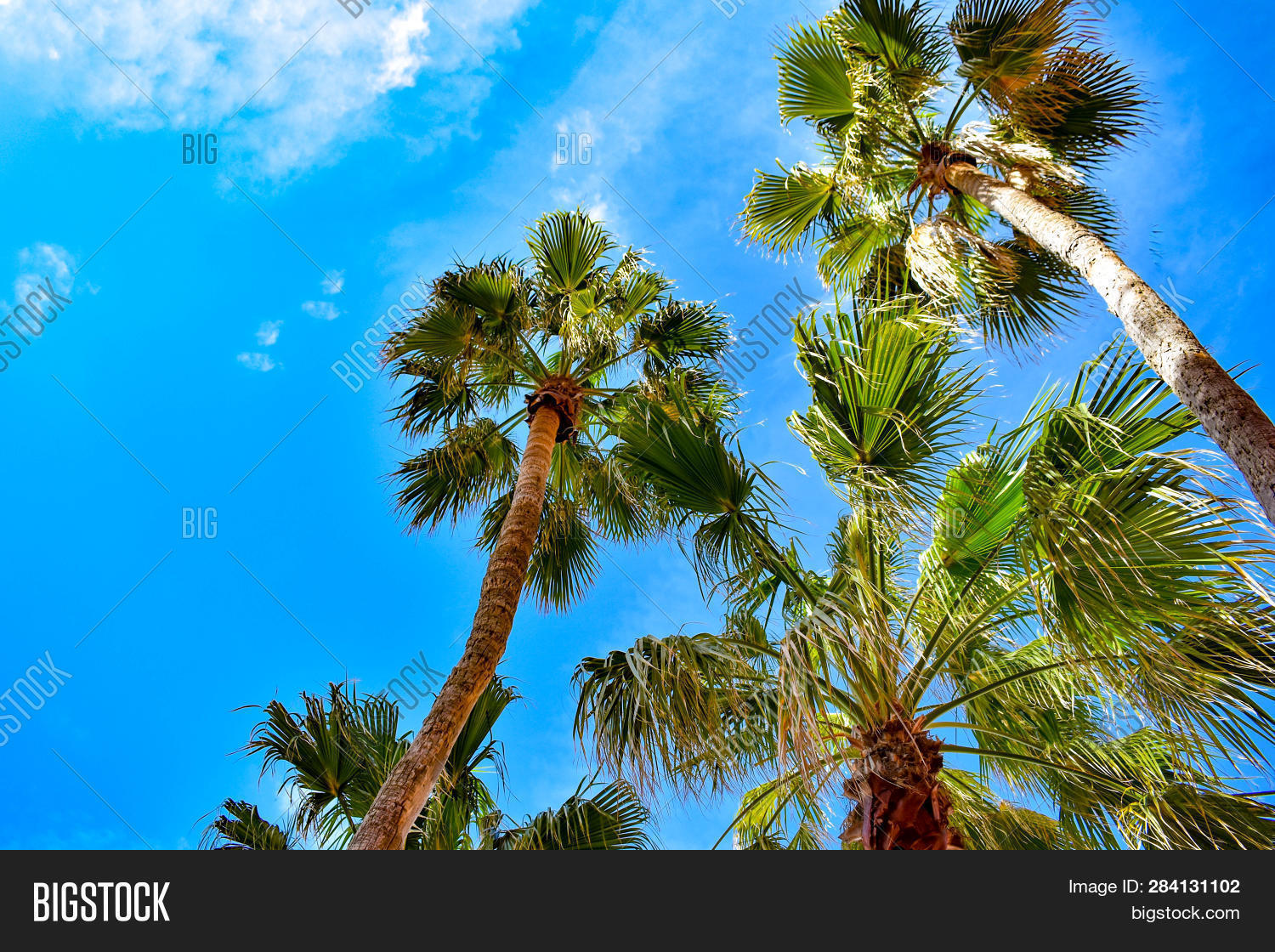 St. Pete Beach, Image & Photo (Free Trial) | Bigstock