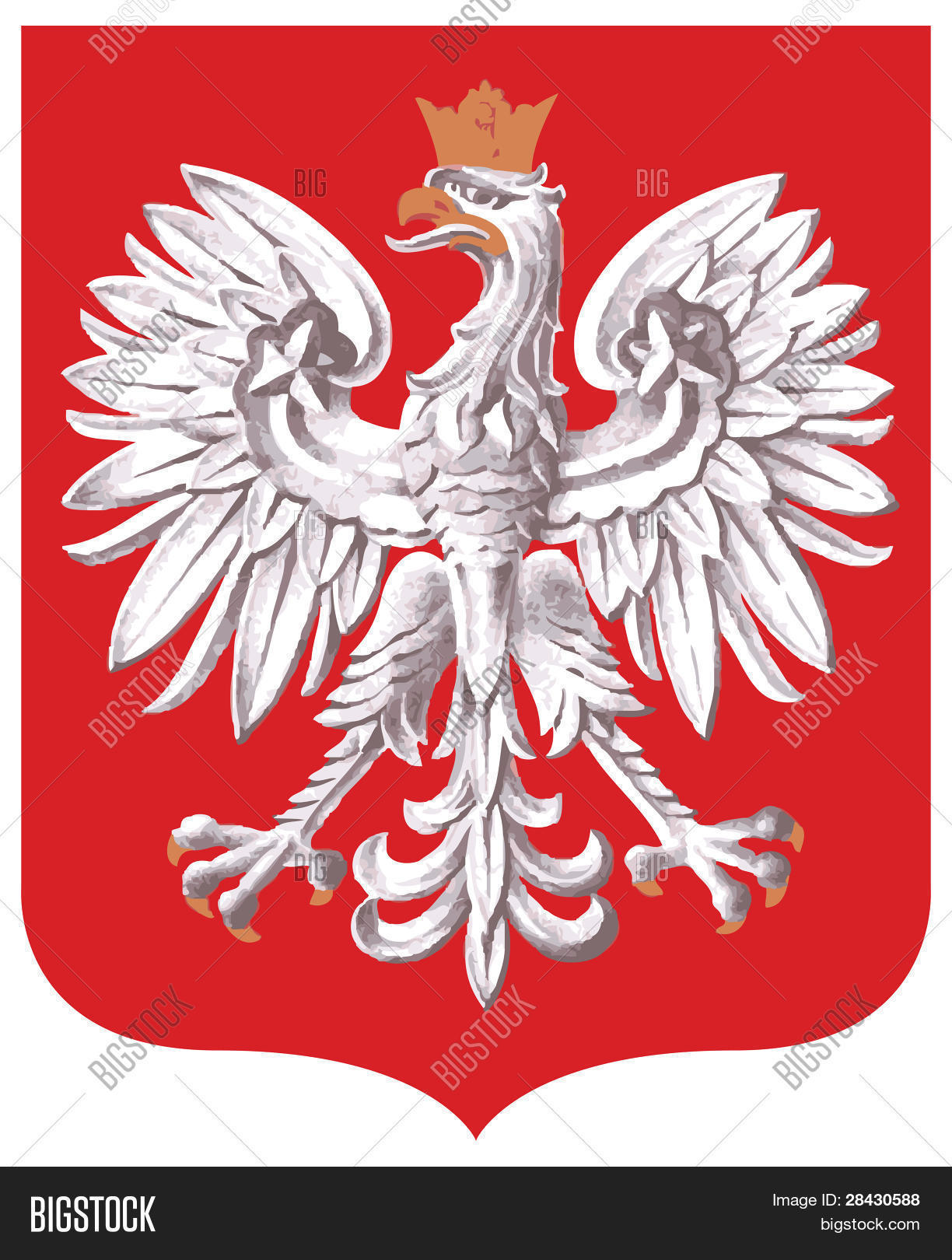Vector y foto Polonia Escudo En (prueba gratis) | Bigstock