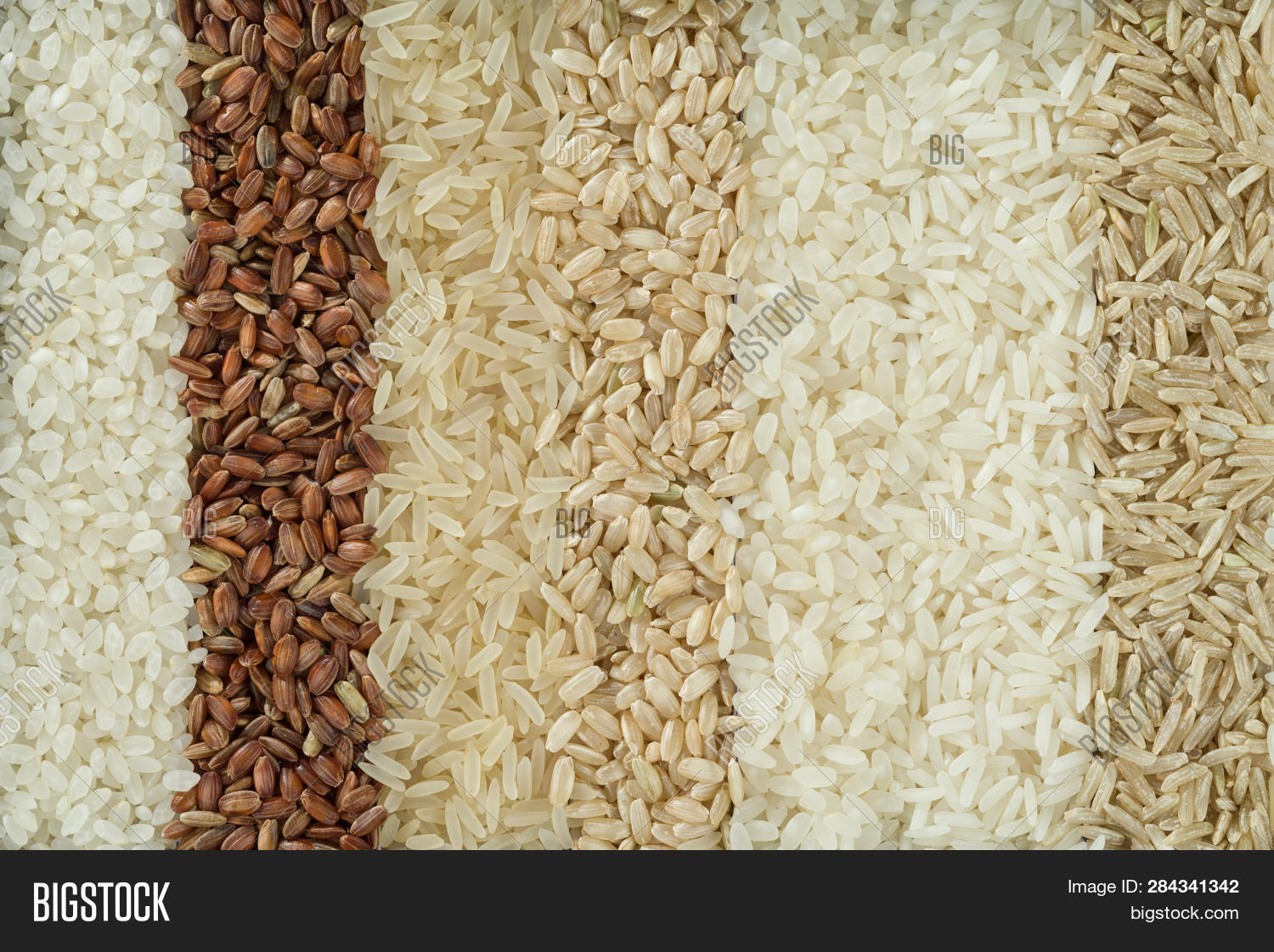 Seven Different Image & Photo (Free Trial) | Bigstock