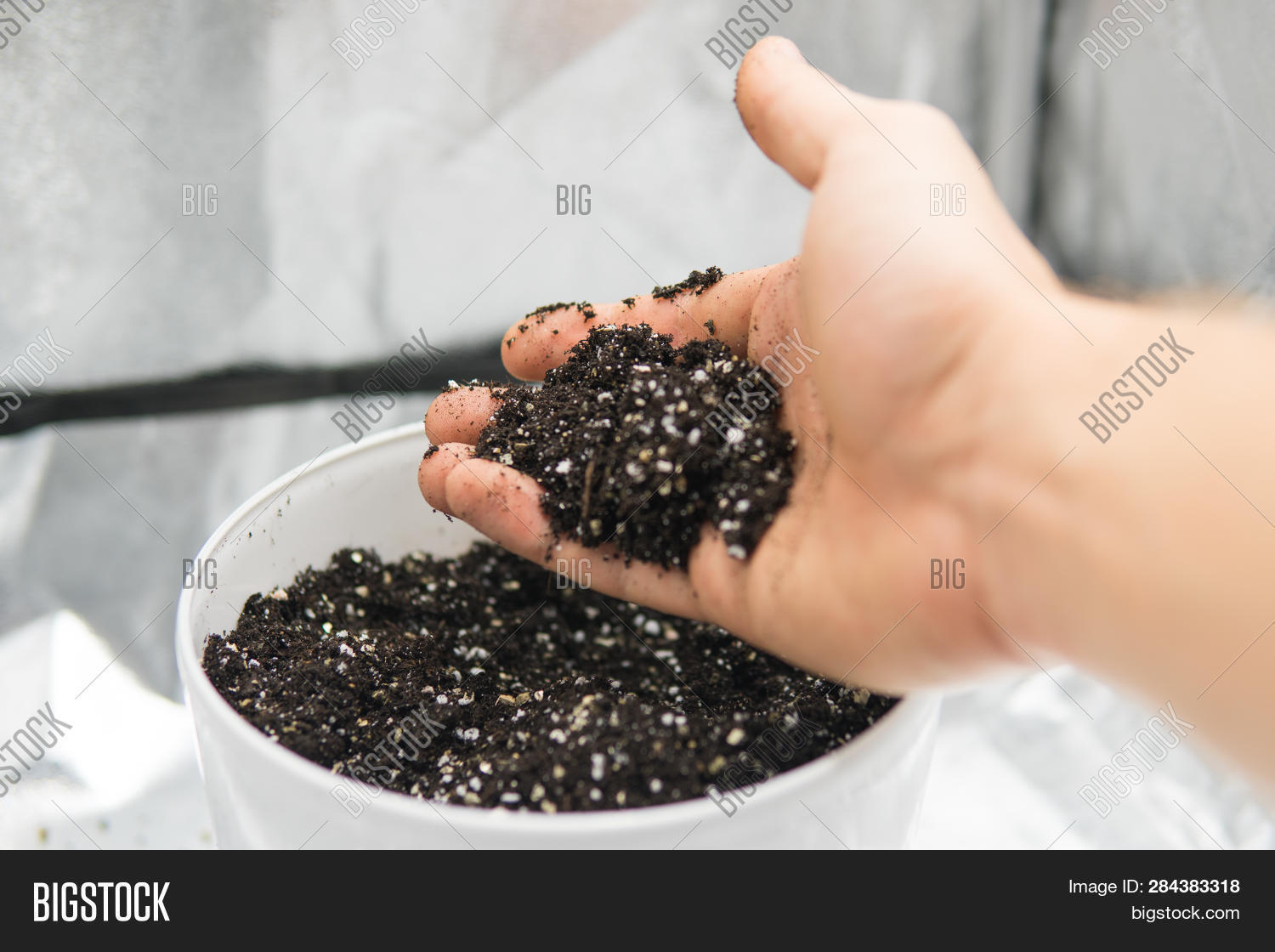 Pot Soil Growing Image & Photo (Free Trial) | Bigstock