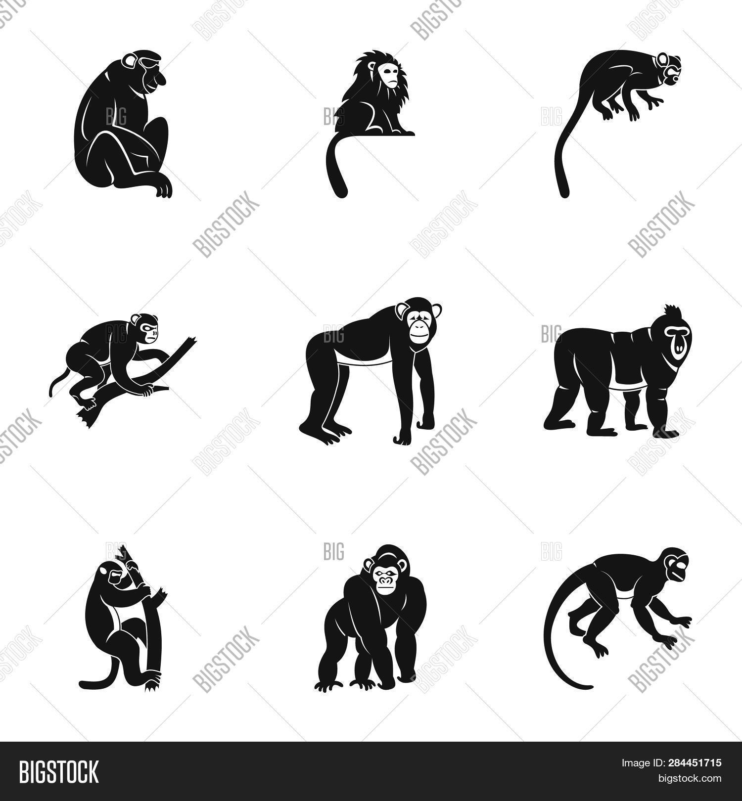 Different Monkey Icon Image & Photo (Free Trial) | Bigstock