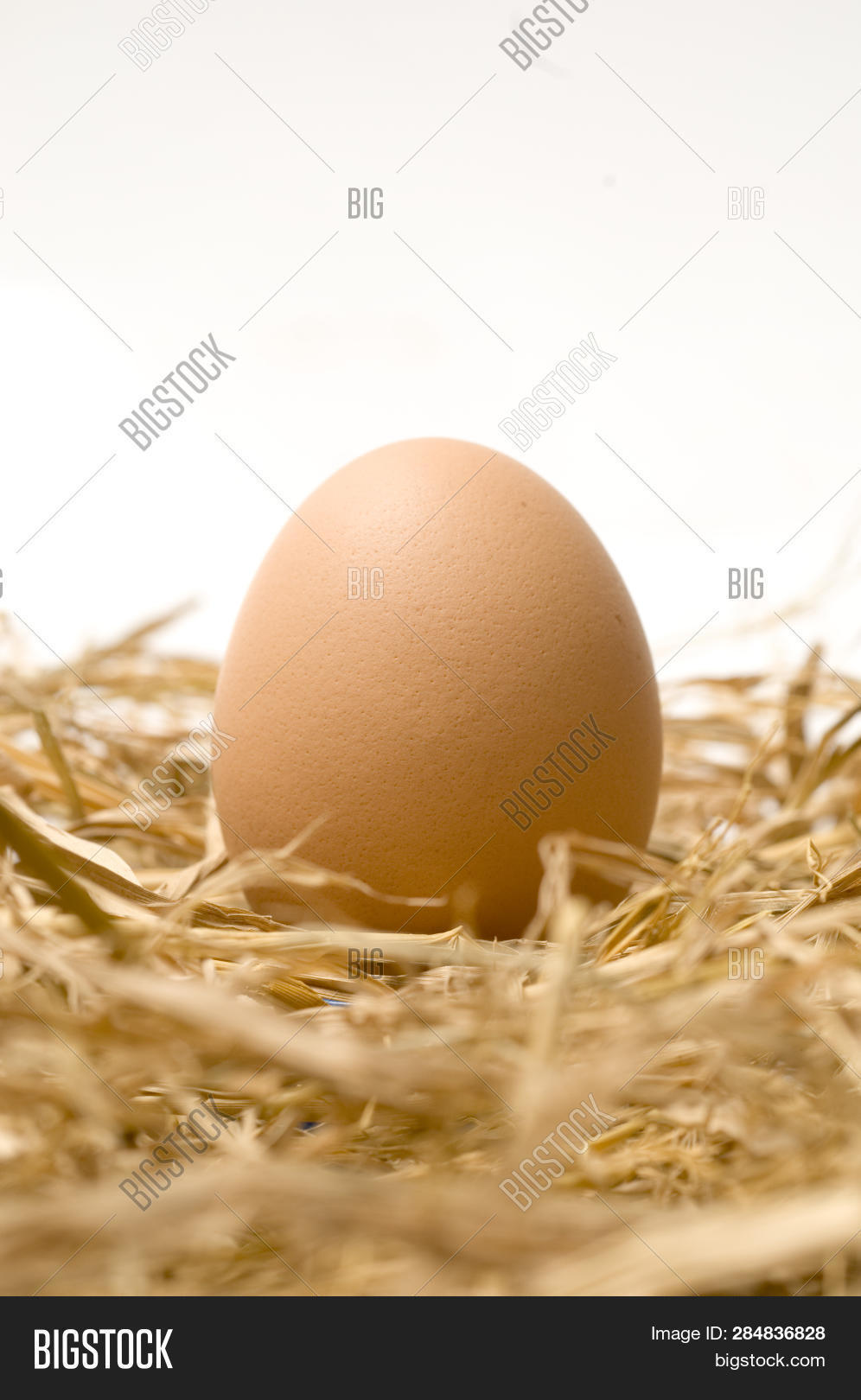 Single Clean Egg On Image & Photo (Free Trial) | Bigstock
