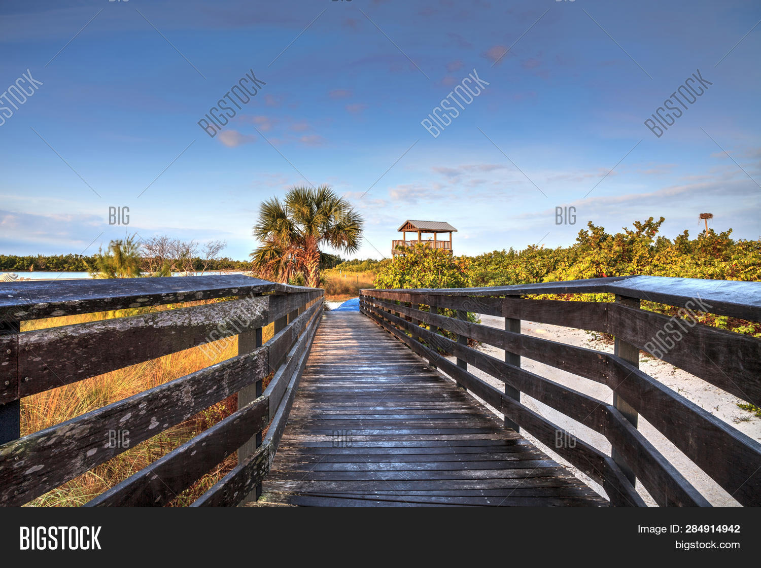 Bird Observation Tower Image & Photo (Free Trial) | Bigstock