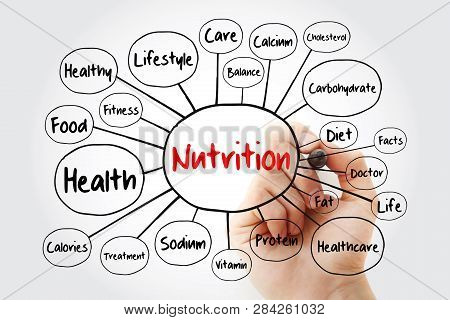Nutrition Mind Map Image & Photo (Free Trial) | Bigstock