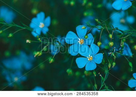 Amazing Bright Cyan Image & Photo (Free Trial) | Bigstock