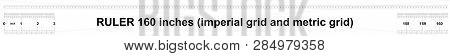Ruler 160 Inches Vector & Photo (Free Trial) | Bigstock