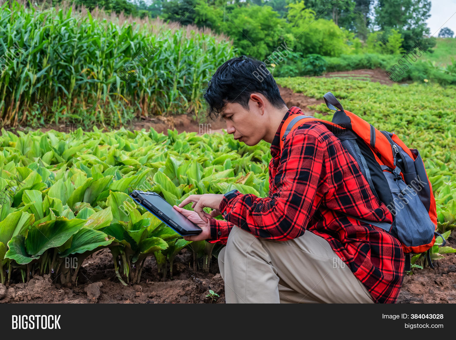 Agronomist Using Image & Photo (Free Trial) | Bigstock