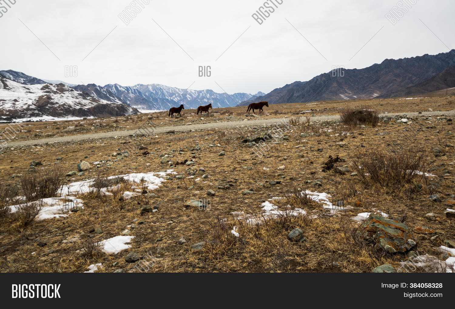 View Altay Mountains Image & Photo (Free Trial) | Bigstock