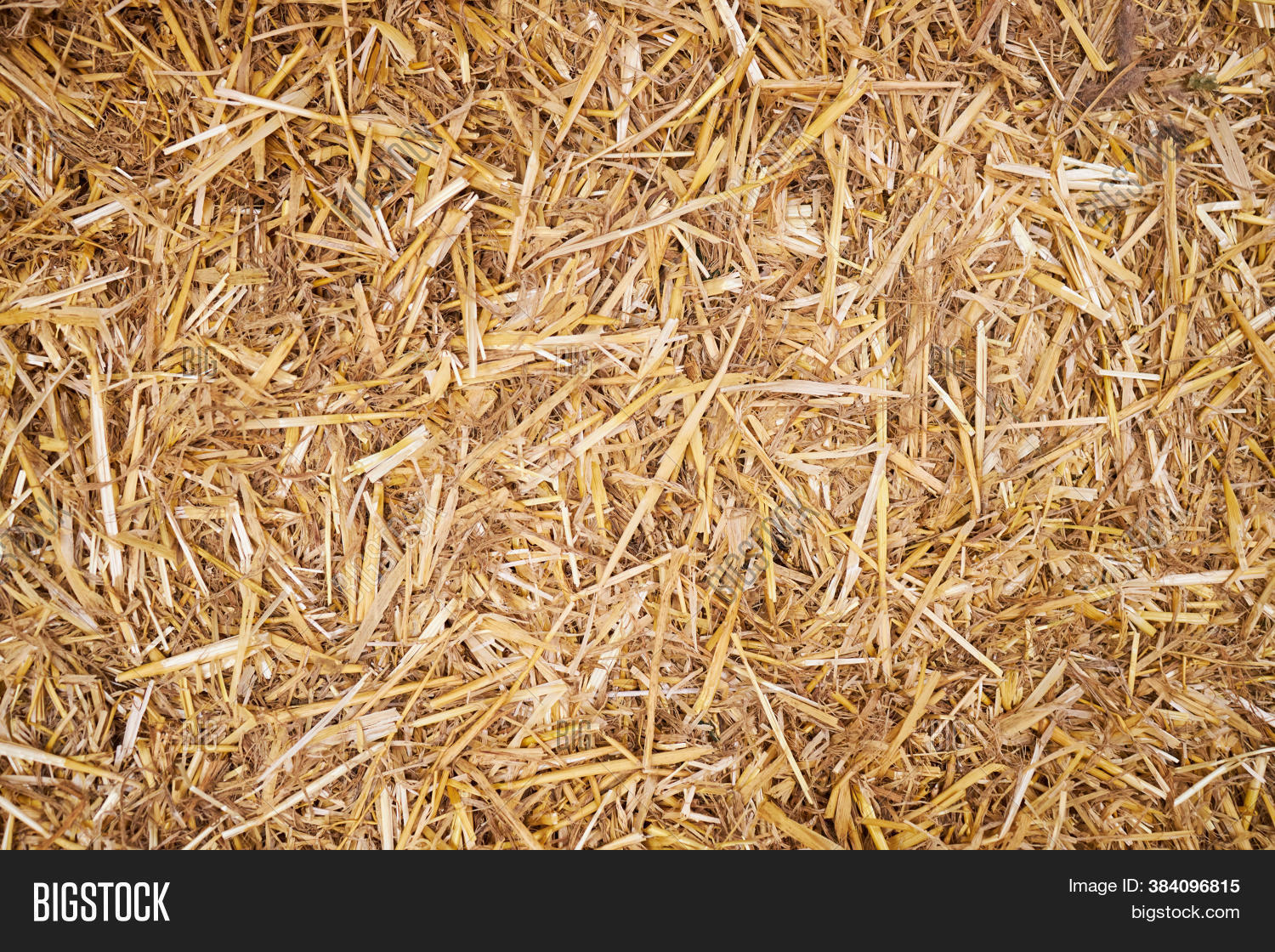 Yellow Straw Hay Image & Photo (Free Trial) | Bigstock