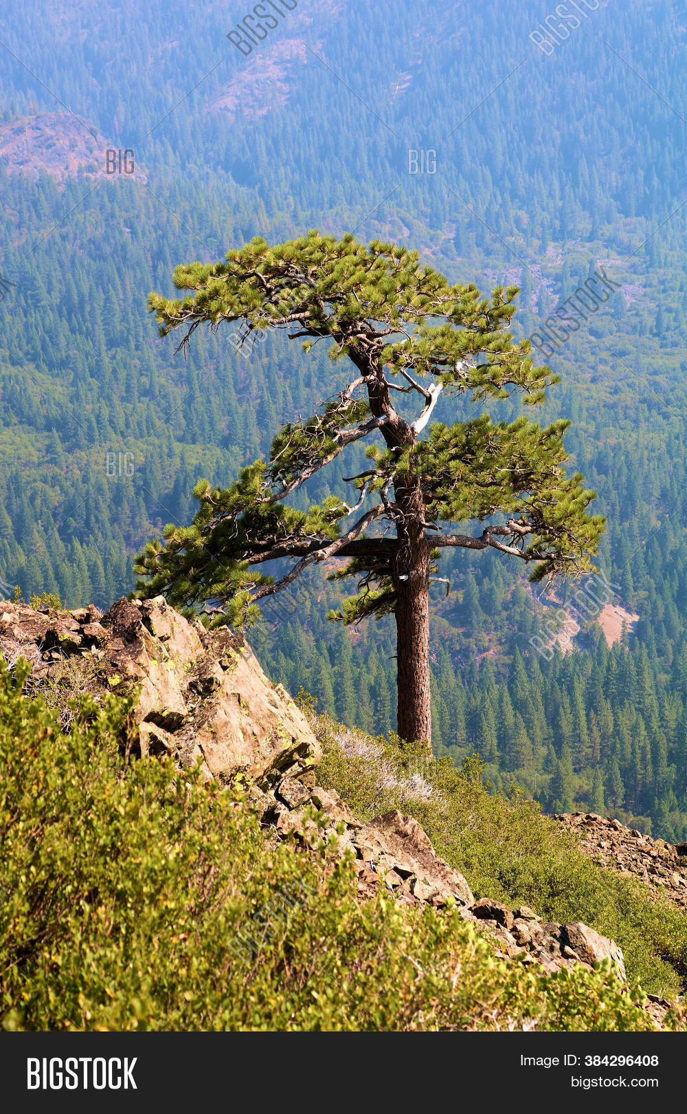 Mountain Ridge Lone Image & Photo (Free Trial) | Bigstock