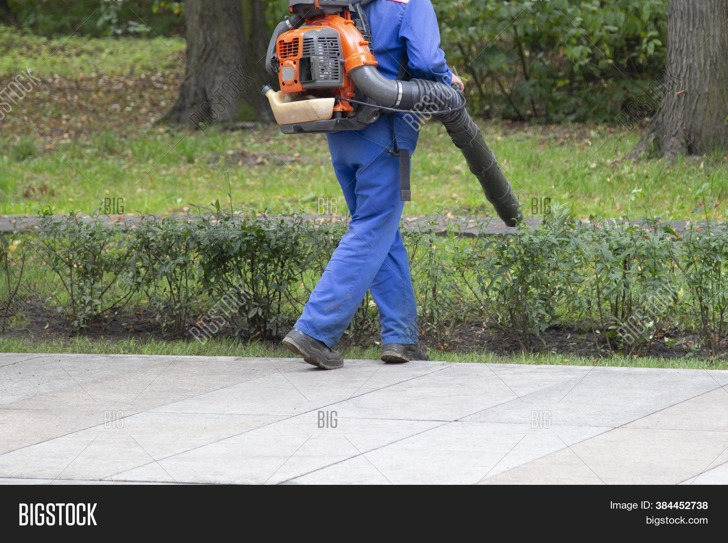 Cleaning Garbage Image & Photo (Free Trial) | Bigstock