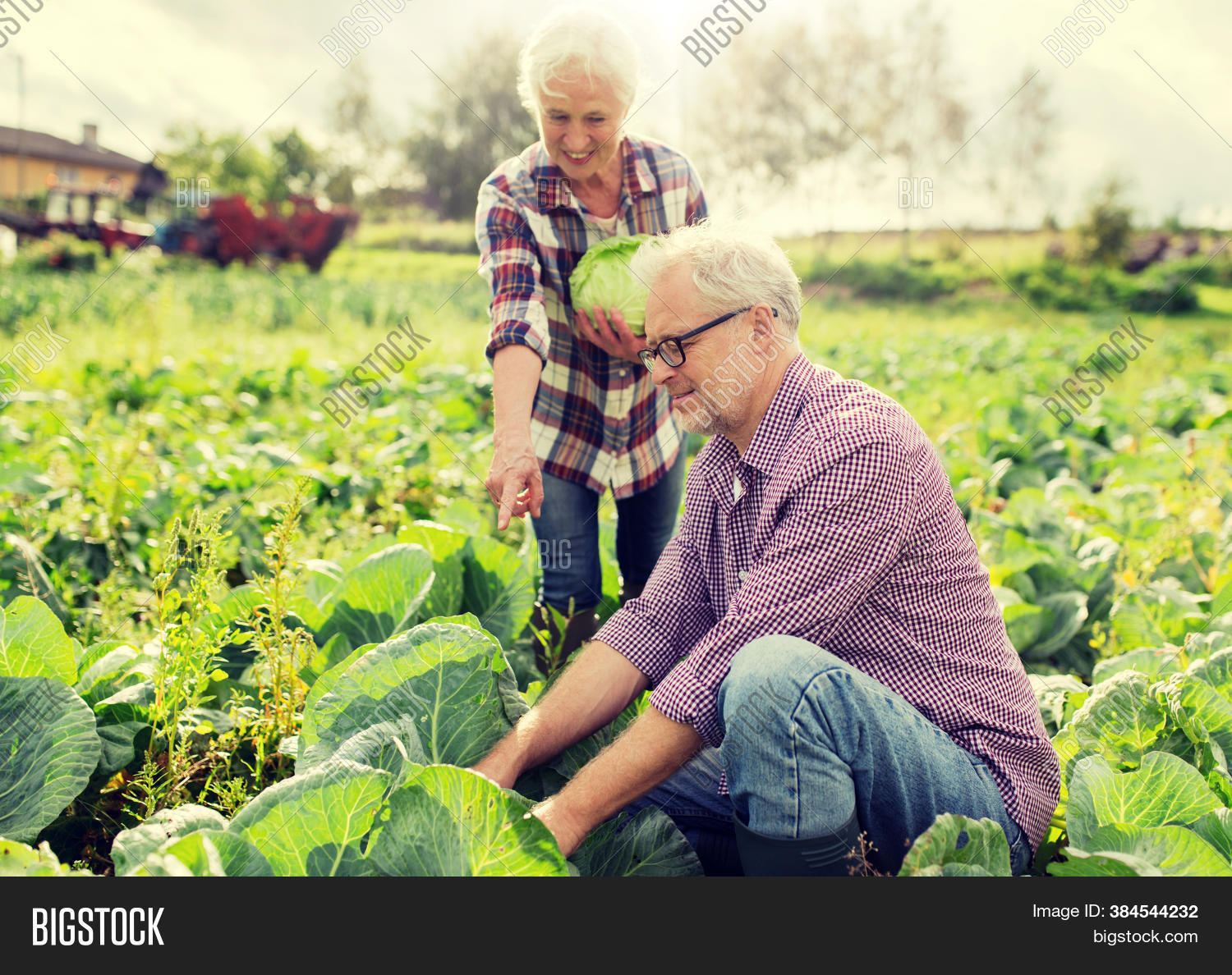 Farming, Gardening, Image & Photo (Free Trial) | Bigstock