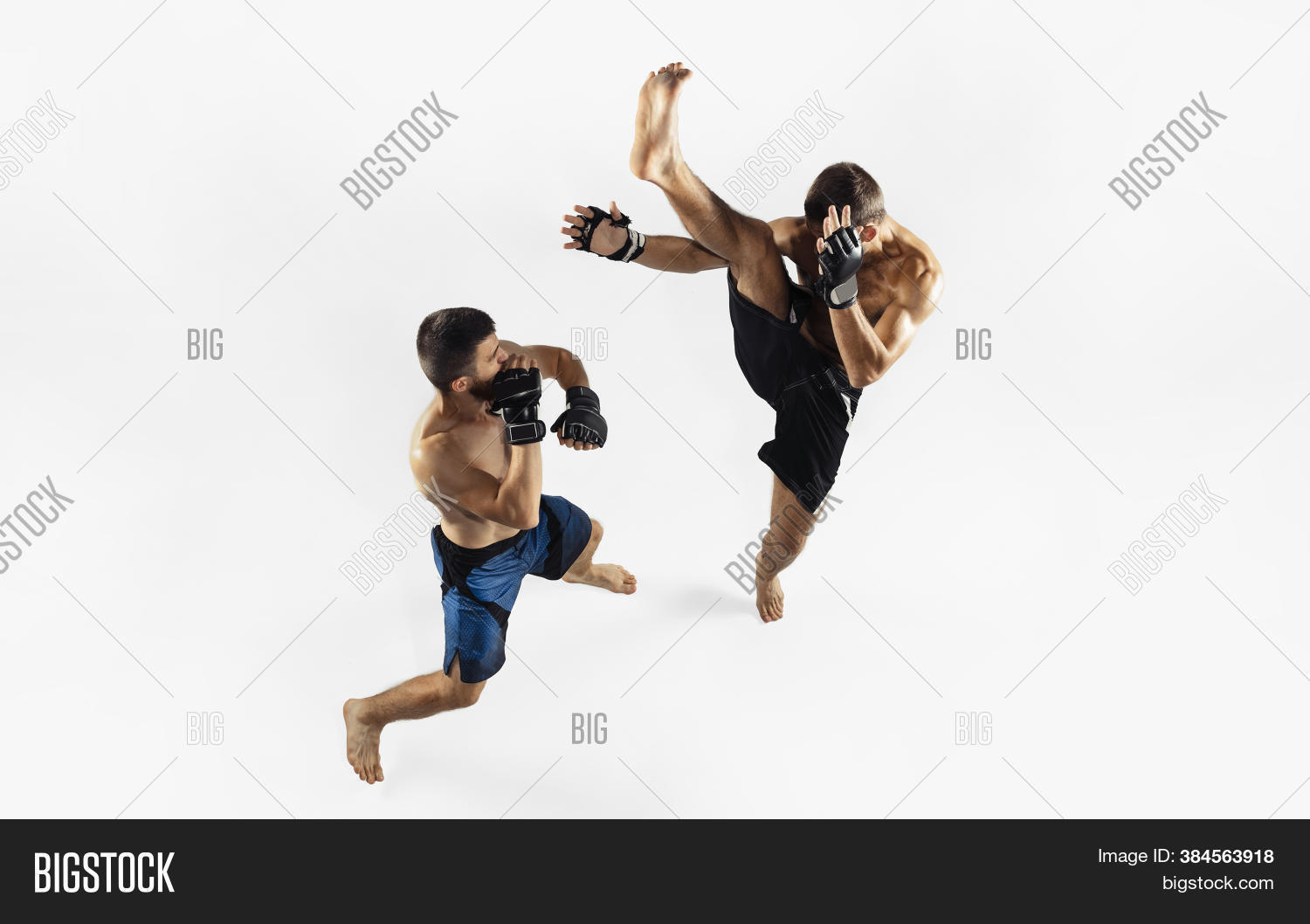 Two Professional Mma Image & Photo (Free Trial) | Bigstock
