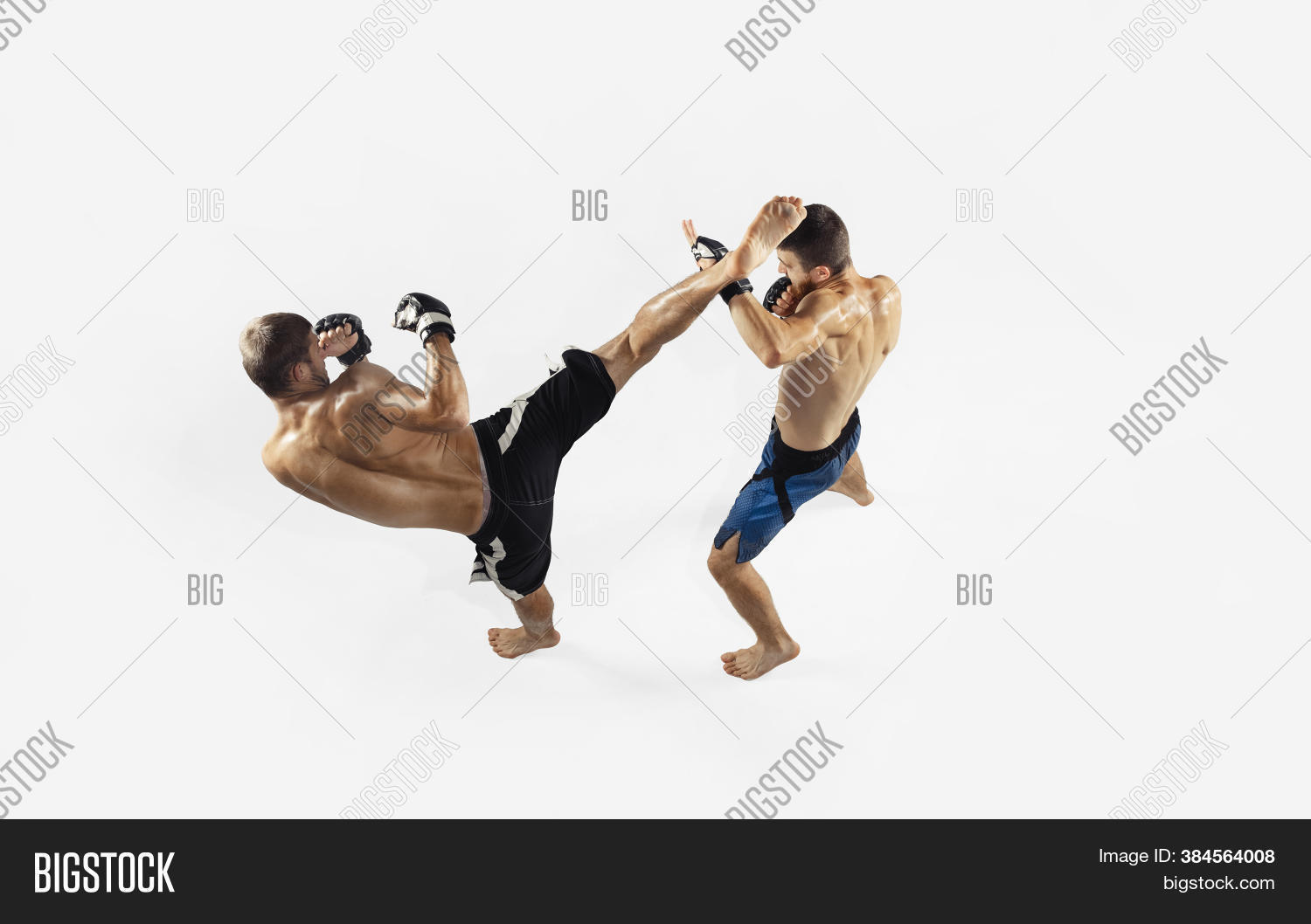 Two Professional Mma Image & Photo (Free Trial) | Bigstock