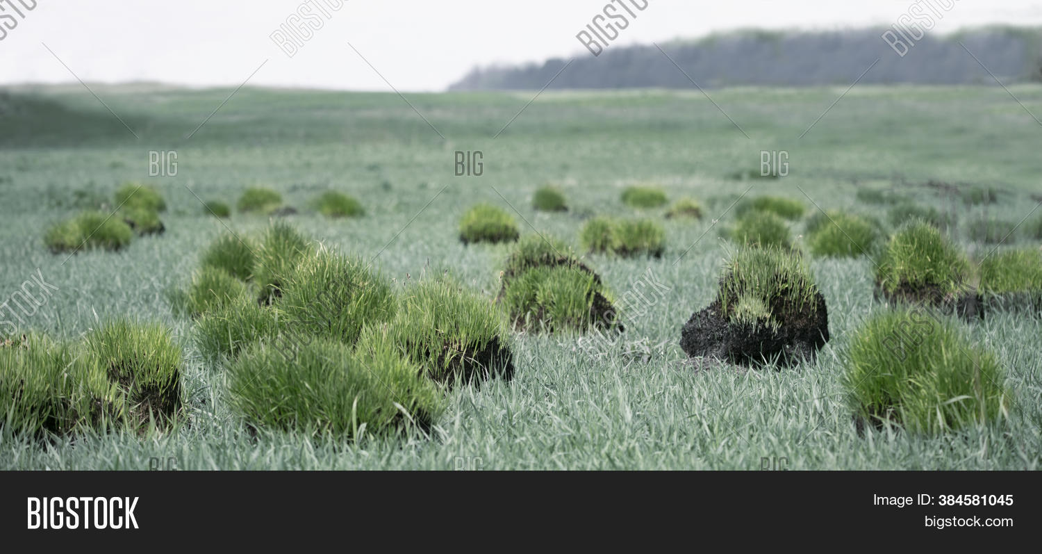 Earth Bumps On Which Image & Photo (Free Trial) | Bigstock
