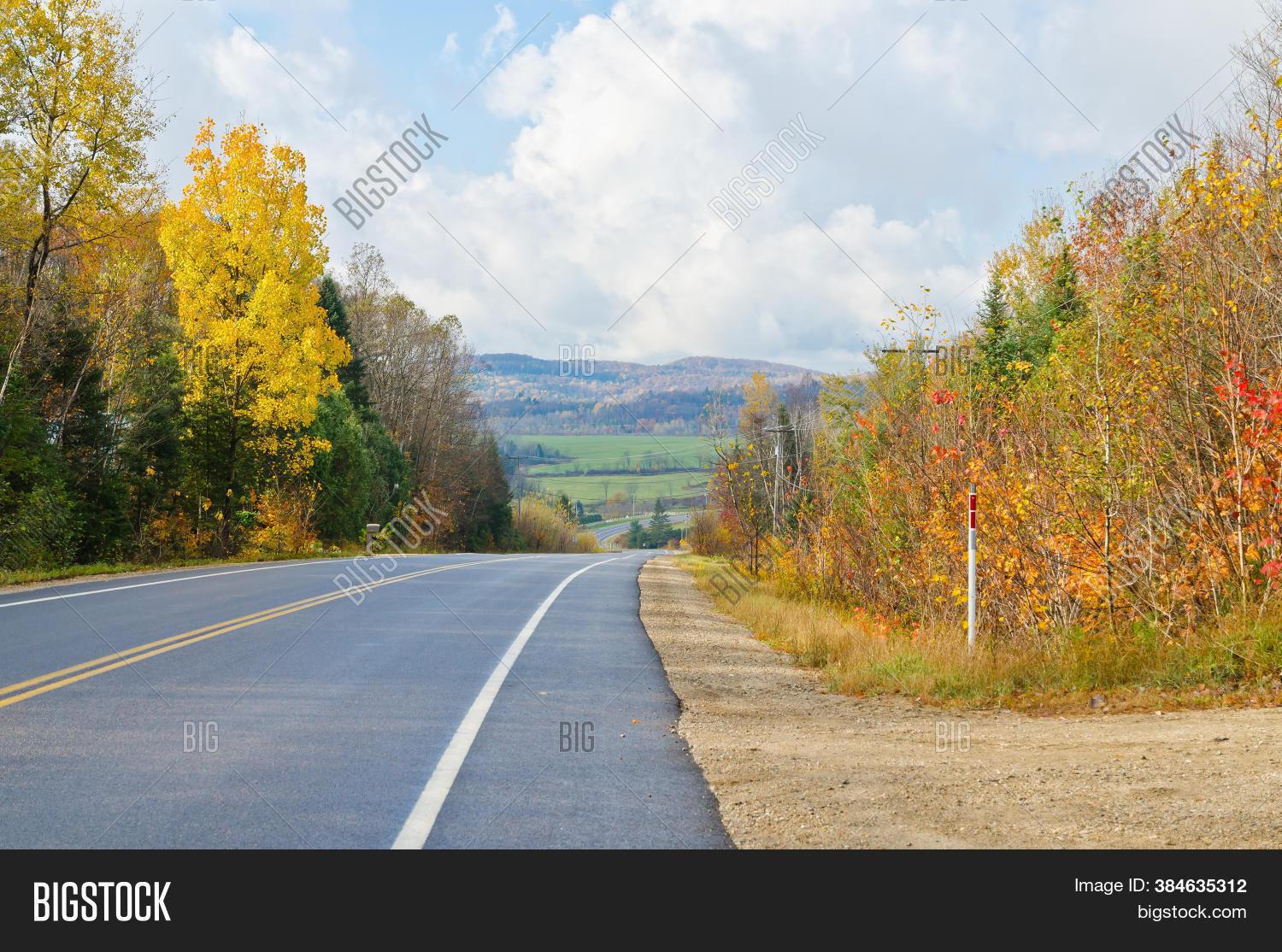 Forest Road Fall Time Image & Photo (Free Trial) | Bigstock