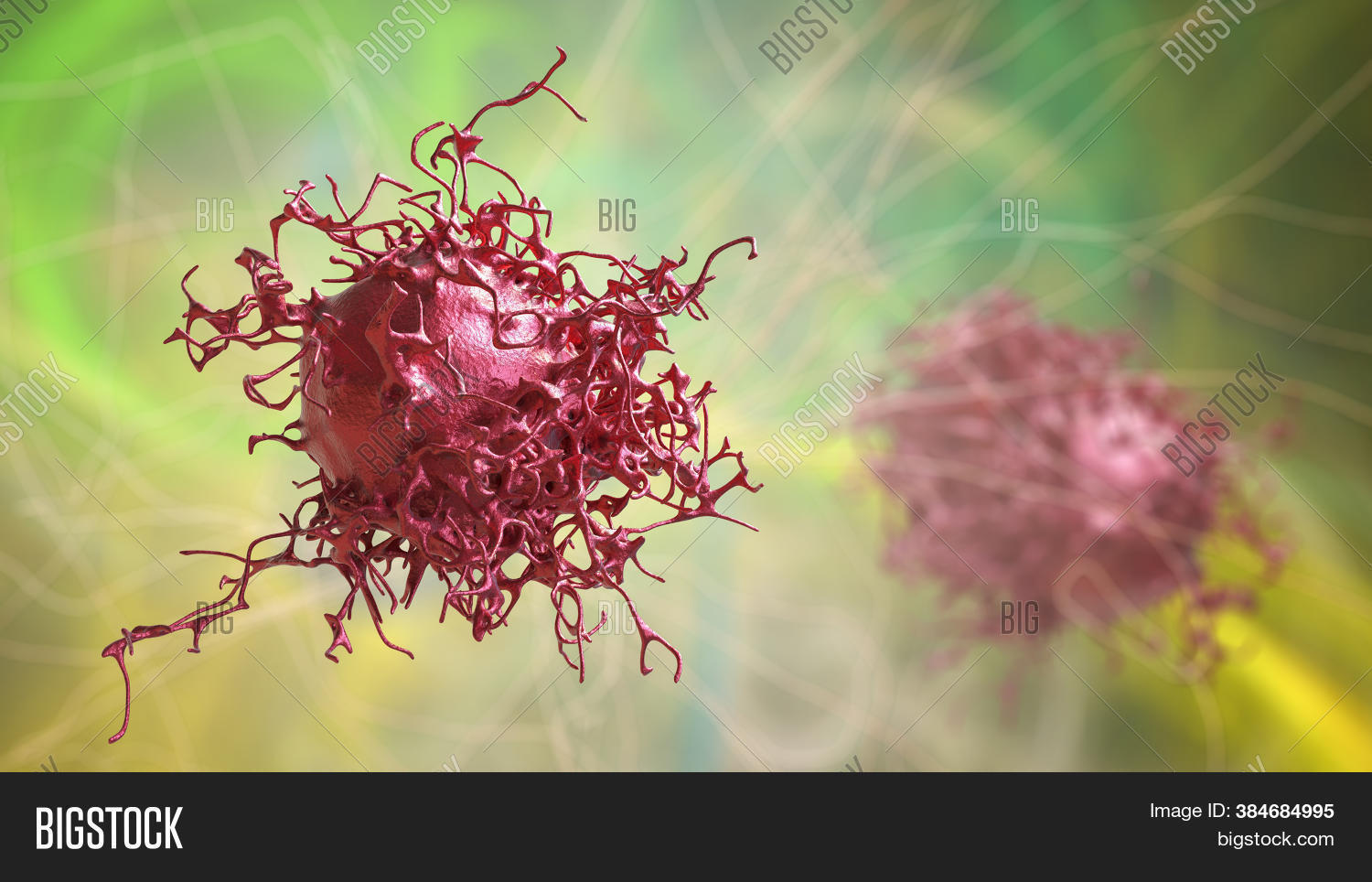 Cervical Cancer Cells Image & Photo (Free Trial) | Bigstock