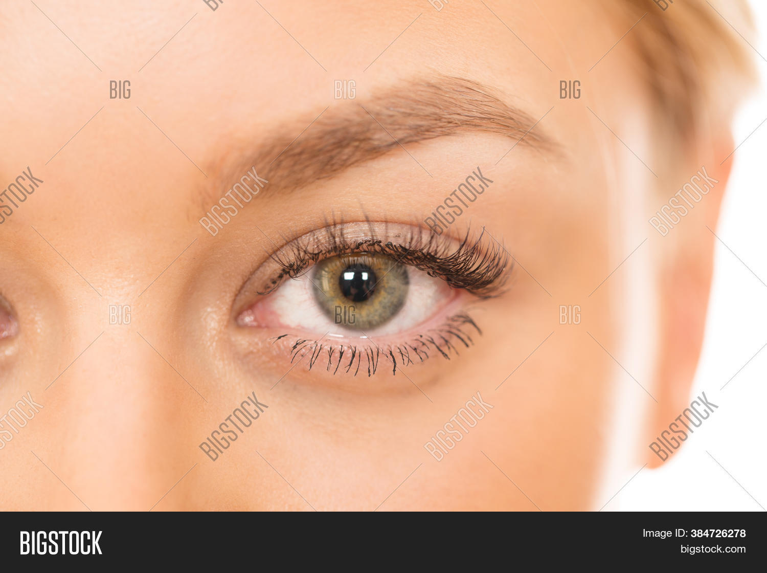 Cropped Close Eye Image & Photo (Free Trial) | Bigstock