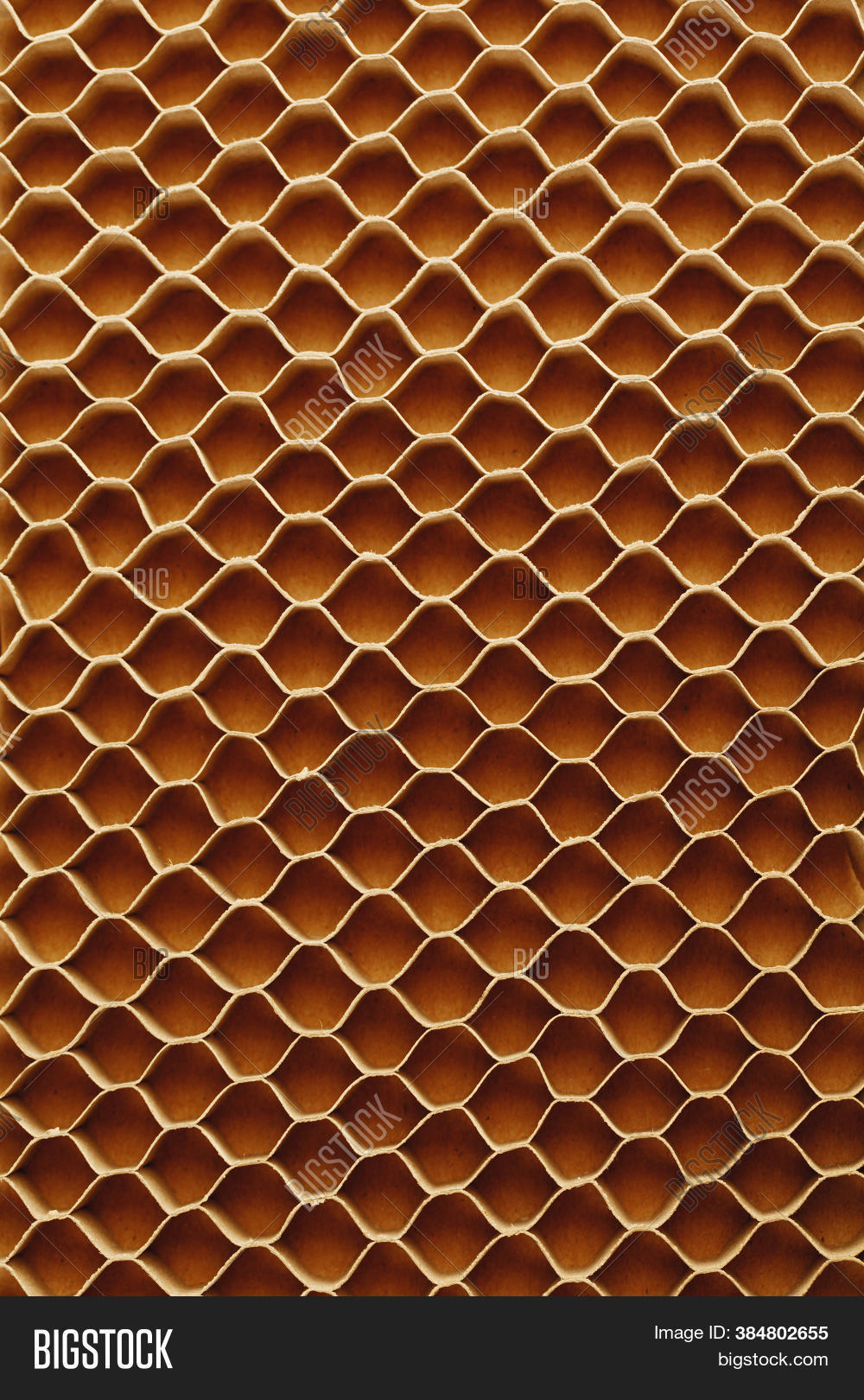 Honeycomb Cells Image & Photo (Free Trial) | Bigstock