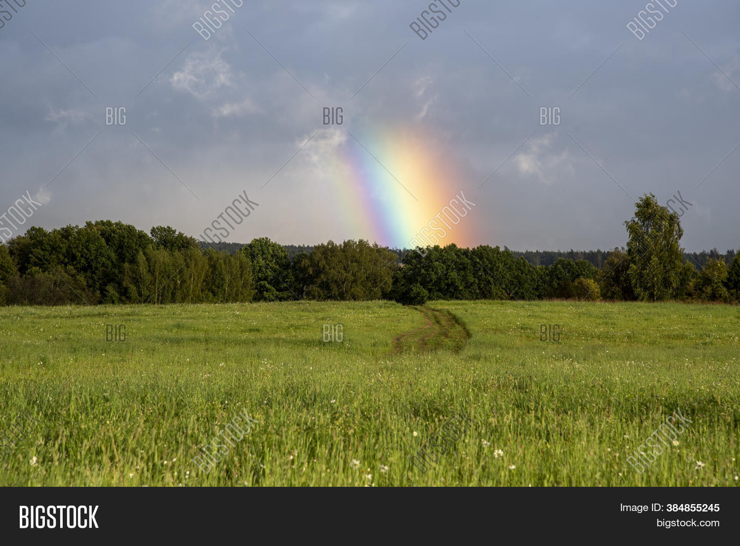 Bright Rainbow Column Image & Photo (Free Trial) | Bigstock