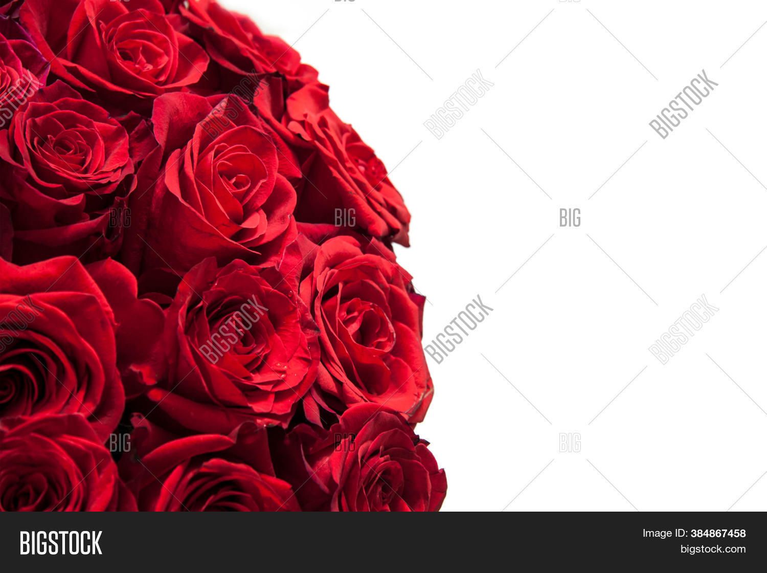 Rose Flower Background Image & Photo (Free Trial) | Bigstock