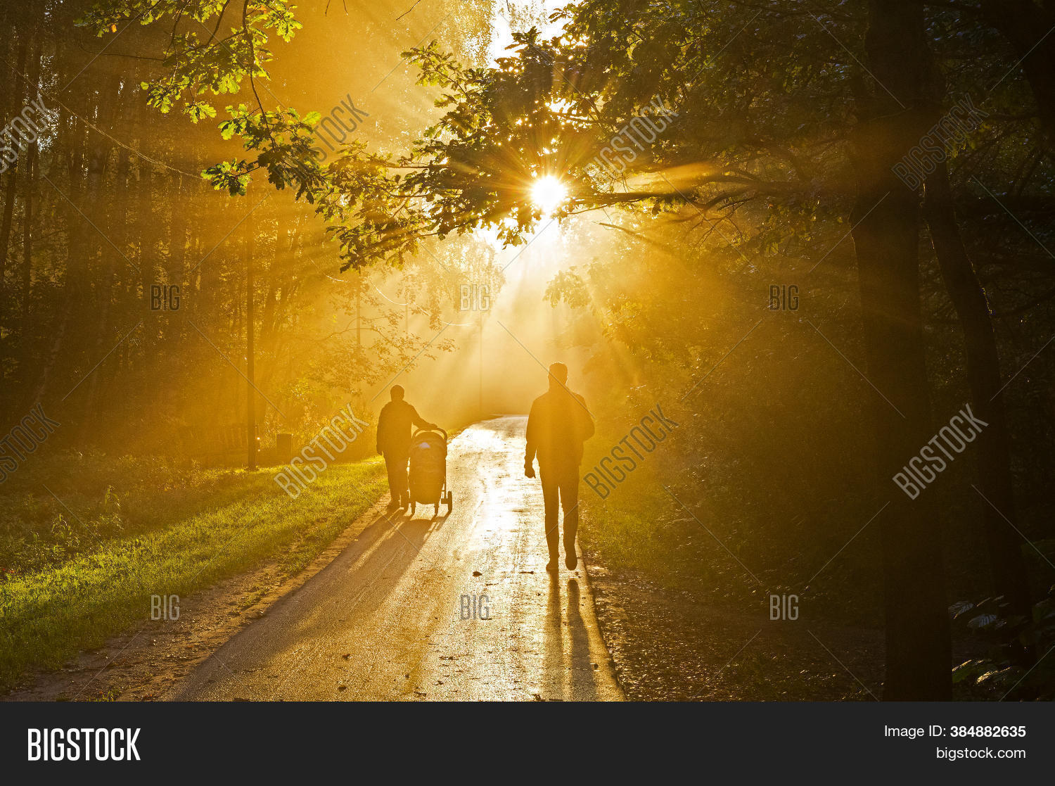 Sunbeams Through Fog Image & Photo (Free Trial) | Bigstock