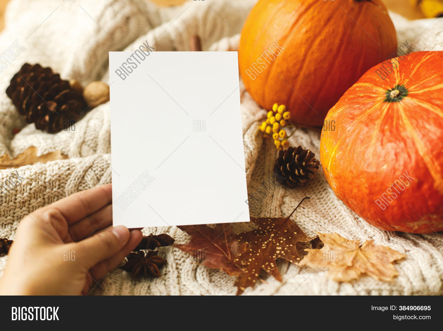Happy Thanksgiving Image & Photo (Free Trial) | Bigstock