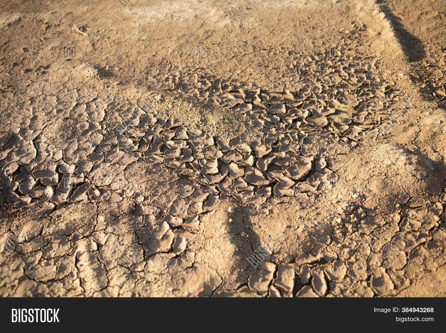 Dry Cracked Desert. Image & Photo (Free Trial) | Bigstock