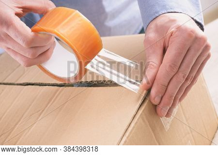 Hand Holding Adhesive Image & Photo (Free Trial) | Bigstock