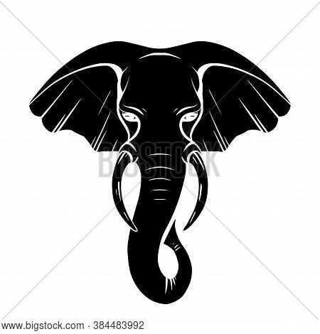 Tusk Images, Illustrations & Vectors (Free) - Bigstock