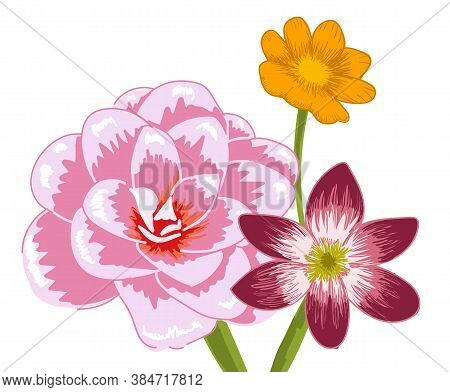 Composition Three Vector & Photo (Free Trial) | Bigstock