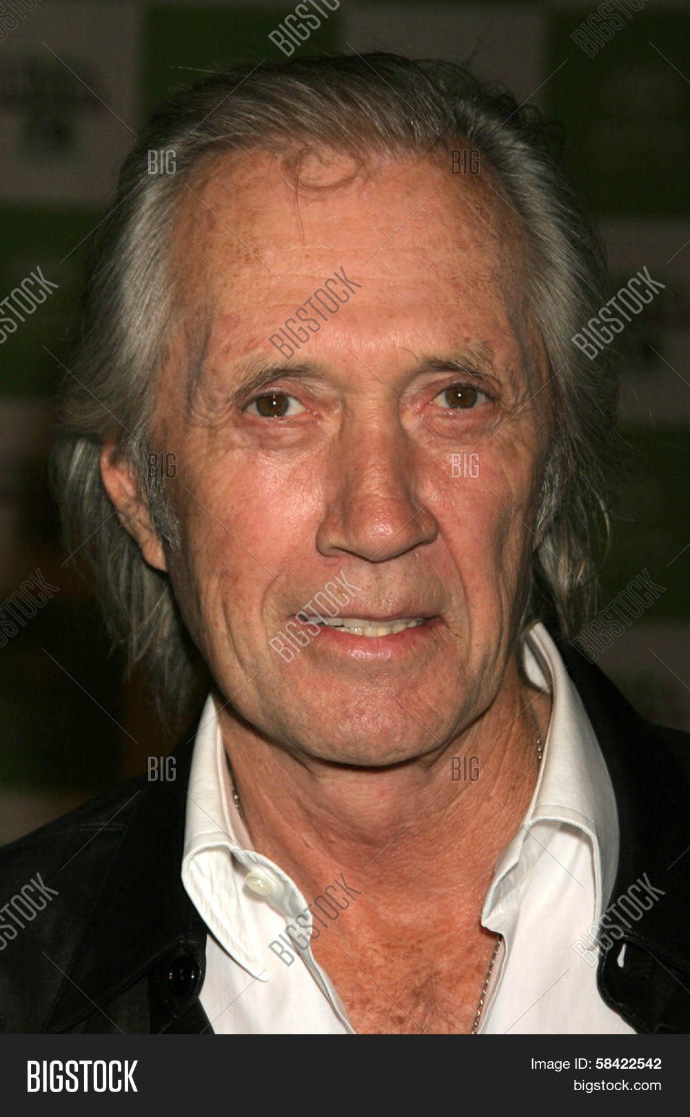 LOS ANGELES - NOVEMBER Image & Photo (Free Trial) | Bigstock