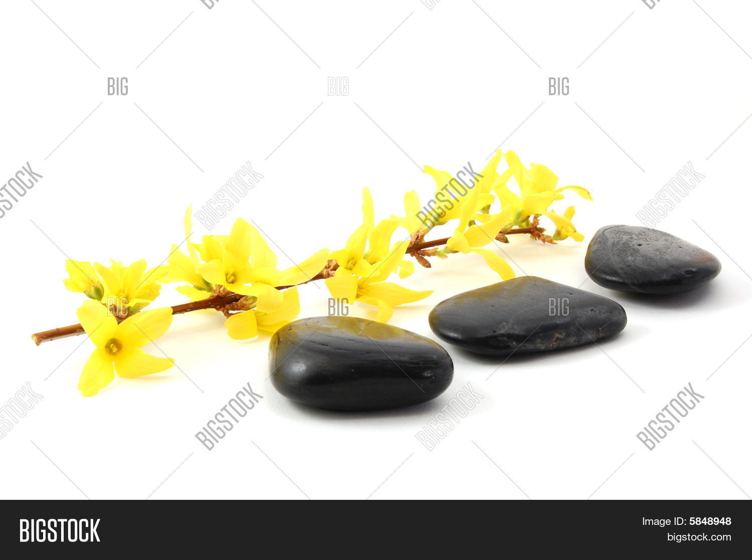 Wellness Flowers Image & Photo (Free Trial) | Bigstock