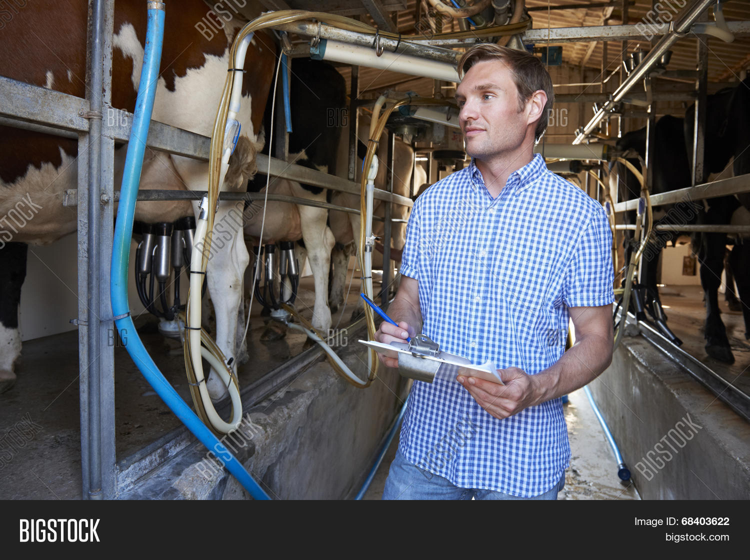 Farmer Inspecting Image & Photo (Free Trial) | Bigstock