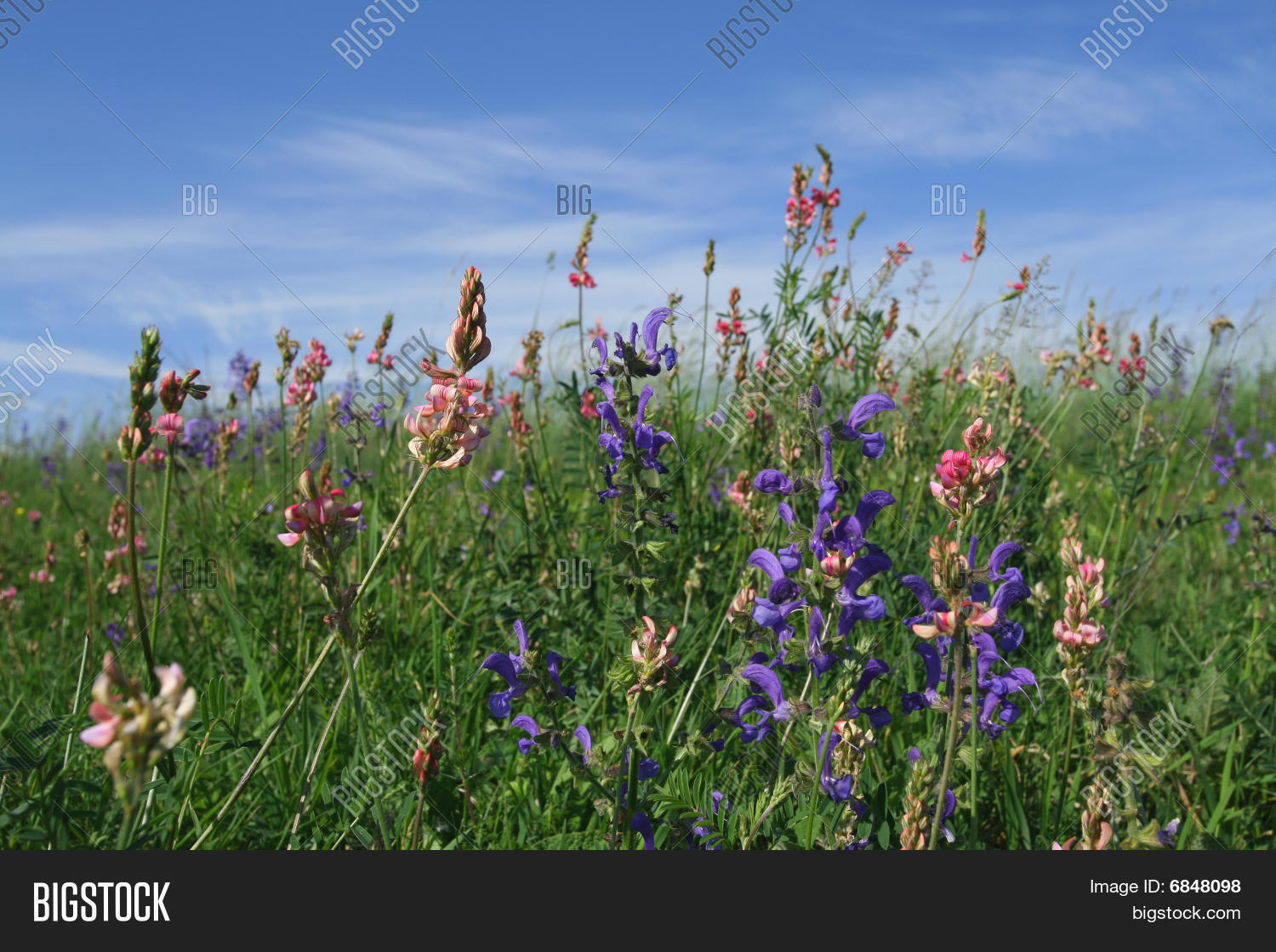 Nature Spring Image & Photo (Free Trial) | Bigstock