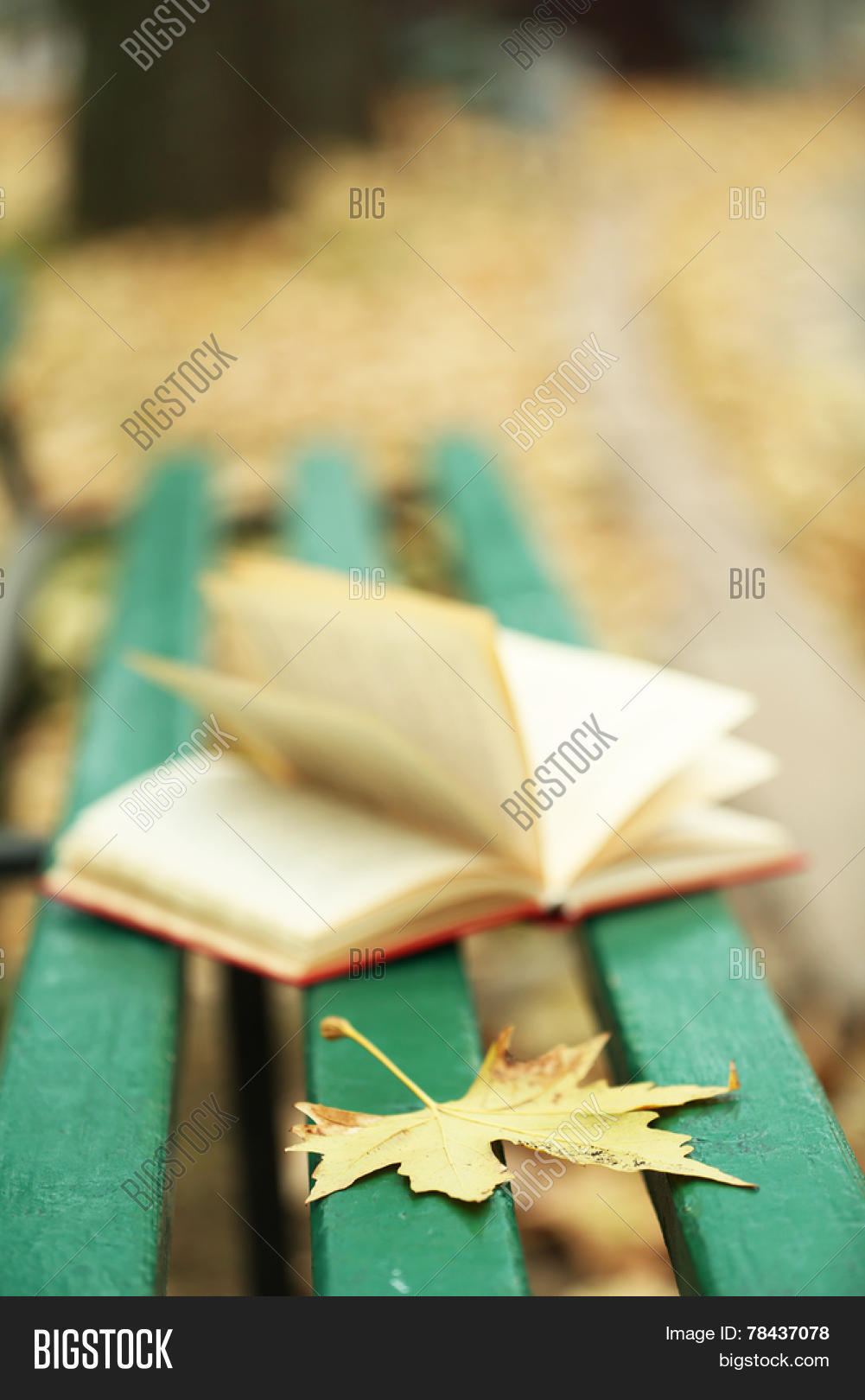 Open Book Lying Near Image & Photo (Free Trial) | Bigstock