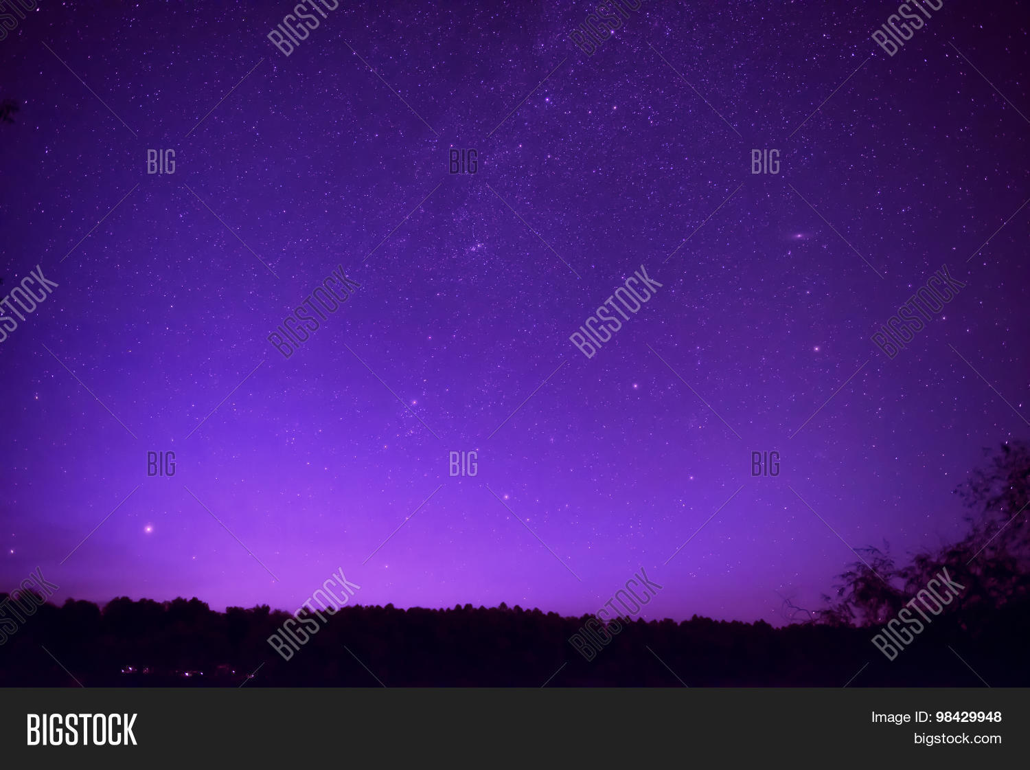 Beautiful Purple Night Image & Photo (Free Trial) | Bigstock