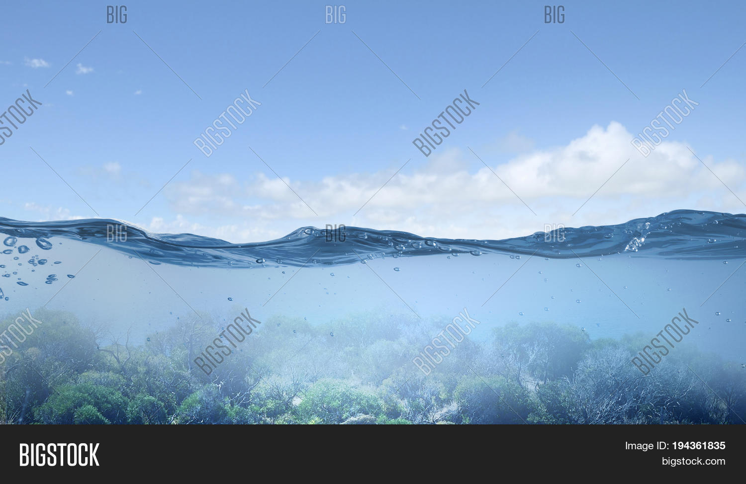 Ocean Underwater View Image & Photo (Free Trial) | Bigstock