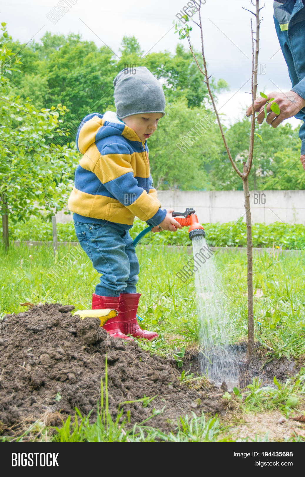 Little Boy Garden, Image & Photo (Free Trial) | Bigstock