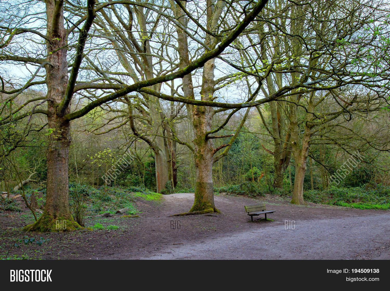 Bench Along Path Green Image & Photo (Free Trial) | Bigstock