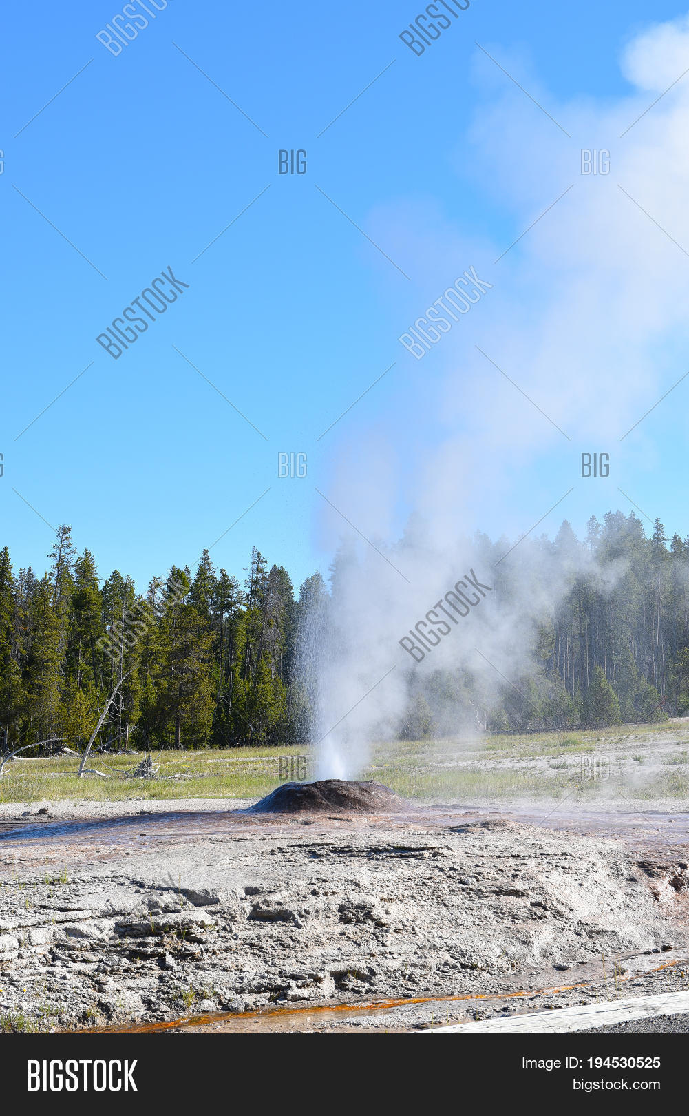 Pink Cone Geyser Cone- Image & Photo (Free Trial) | Bigstock