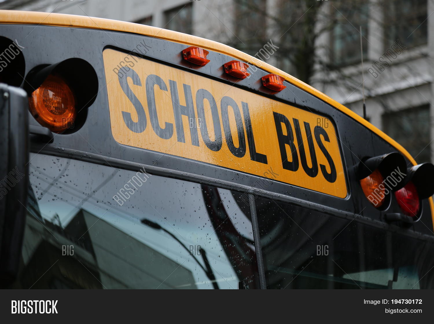 Yellow School Bus Image & Photo (Free Trial) | Bigstock