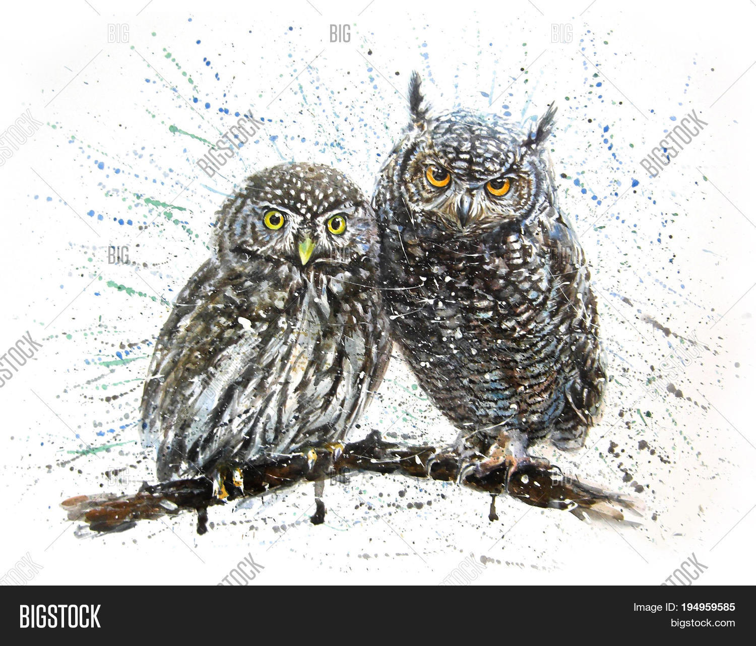 Watercolor, Owl, Image & Photo (Free Trial) | Bigstock