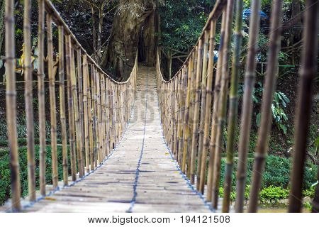 Bamboo Pedestrian Image & Photo (Free Trial) | Bigstock