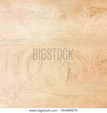 Light Wood 图片和照片（免费试用） | Bigstock