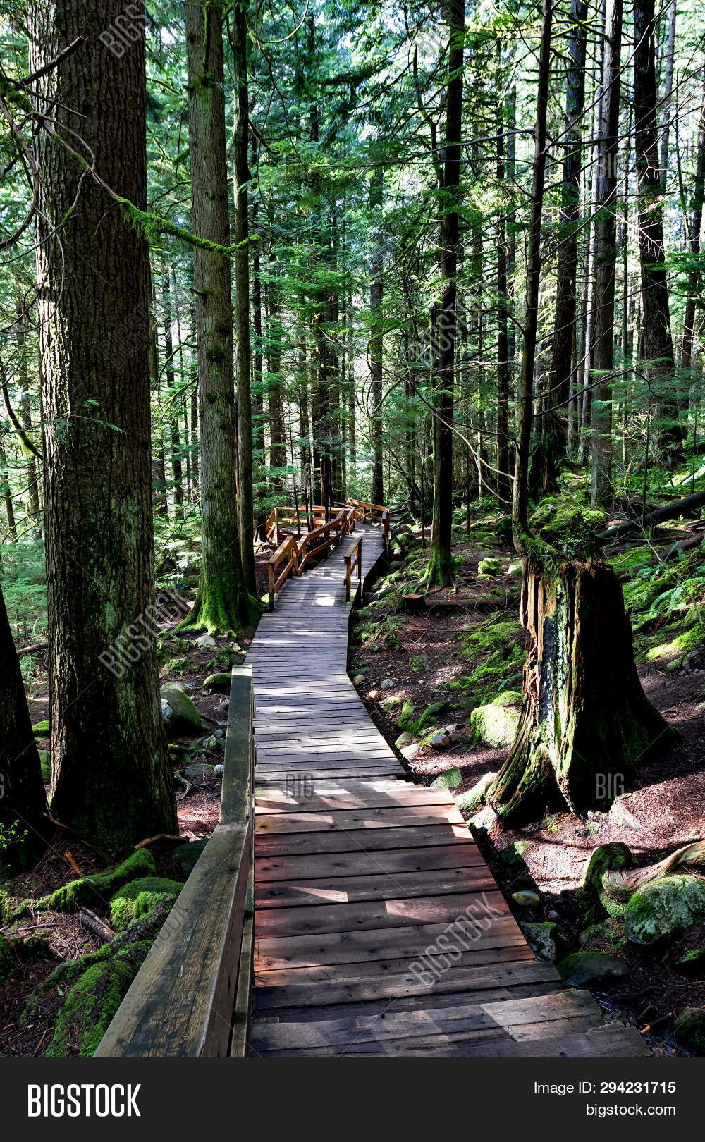 Wooden Walkway Image & Photo (Free Trial) | Bigstock