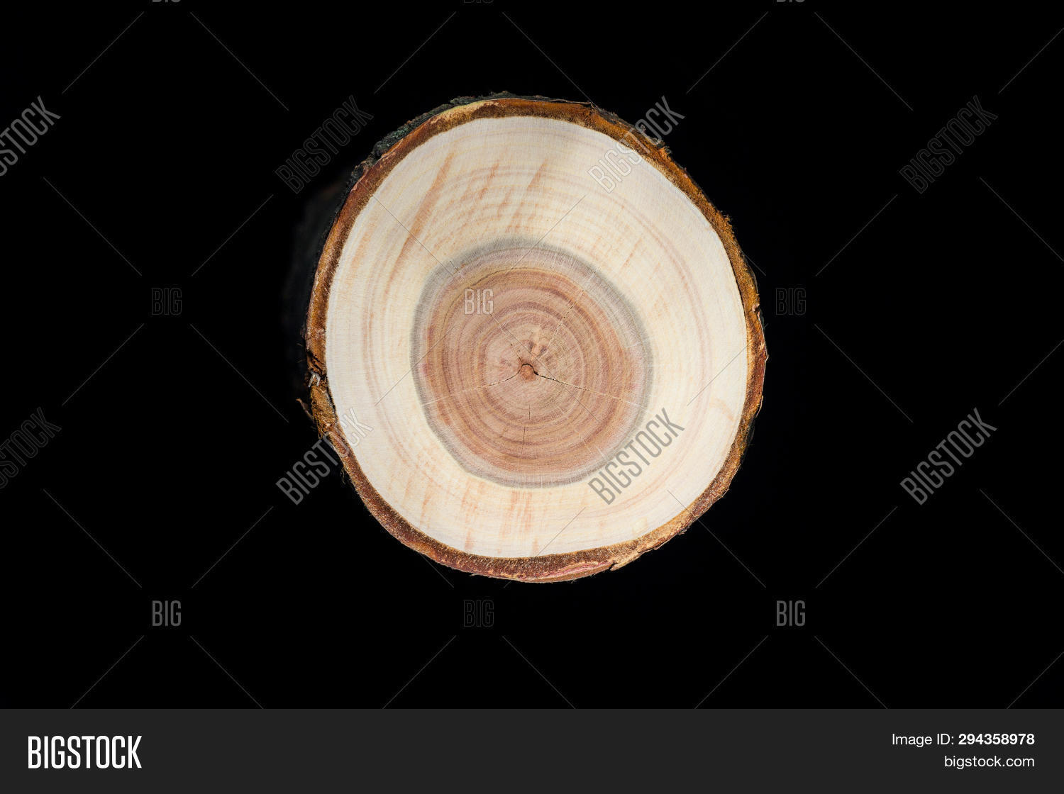 Cross Section Cherry Image & Photo (Free Trial) | Bigstock