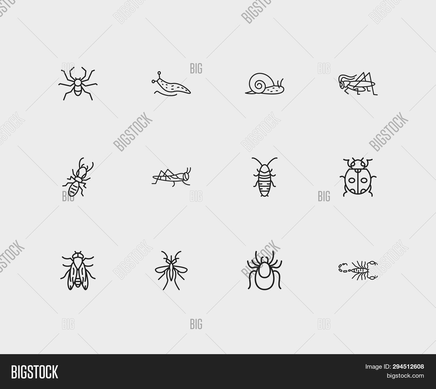 Bug Icons Set. Image & Photo (Free Trial) | Bigstock